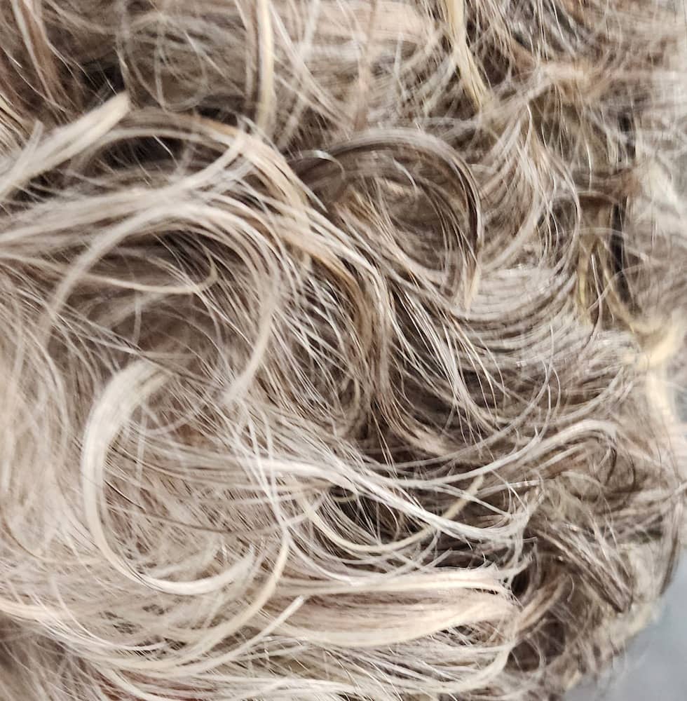 Course Hair – Steve Wynder